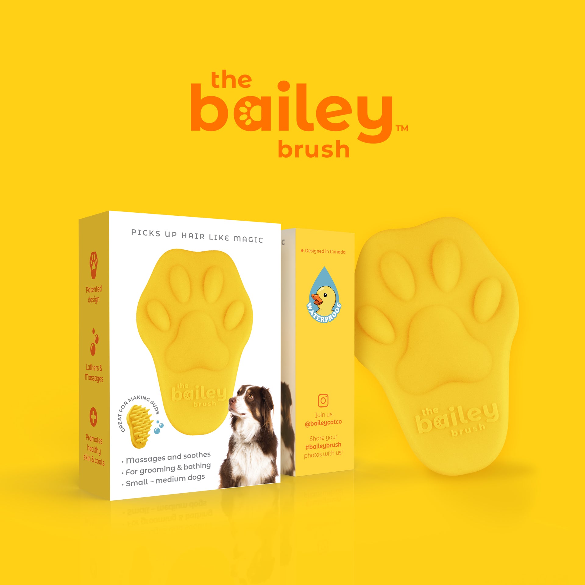 What is the Best Dog Brush for Long Hair | Bailetbrush