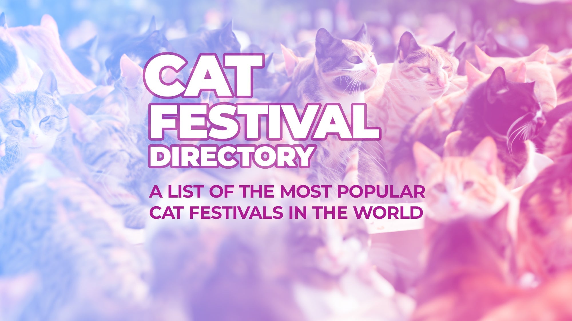 Cat Festivals Directory: The most popular cat festivals list